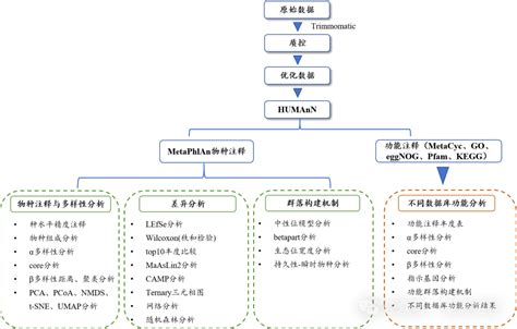 浅宏基因组，一个被低估的利器~ 知乎