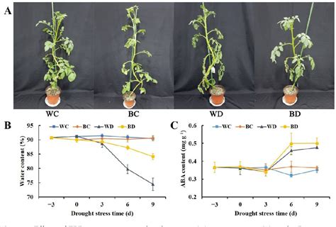 Figure 1 From Physiological And Comparative Transcriptome Analysis