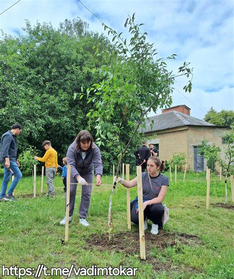 У Макарові висадили 100 яблунь в память про дітей які загинули внаслідок агресії рф фото