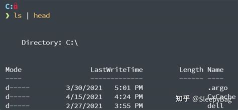 如何让 Powershell 像 Zsh 一样好用（一）：基本工具篇 知乎