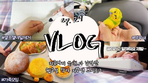 Vlog Ep29 지금까지 쓴 거 다 날라간 백수 웹소설 작가 지망생 브이로그 ㅣ 셀프젤네일제거 네일드릴 셀프네일 가족모임 치팅데이 앵무새 웹소설작가지망생
