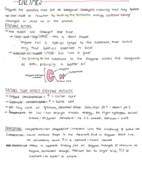 Enzymes Its Lecture Notes Biochemistry Genetics Biotechnology