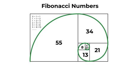 Fibonacci Day Unlocking The Magic Of Fibonacci Sequence On November 23rd By Sunil K Joseph