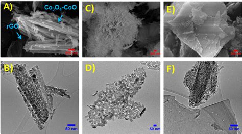 Sem Images A C E And Tem Images B D F Of The Download Scientific Diagram