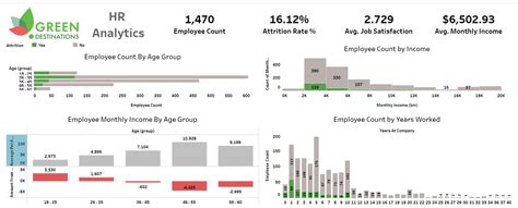 GitHub RawRapter Data Visualization Projects