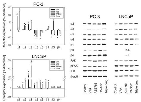 Analysis Of Integrin Surface Expression Left And Intracellular Download Scientific Diagram