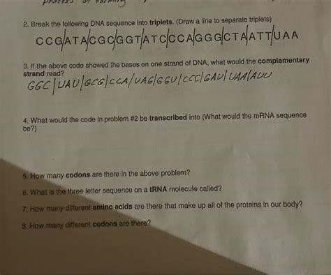 solved 2 break the following dna sequence into triplets