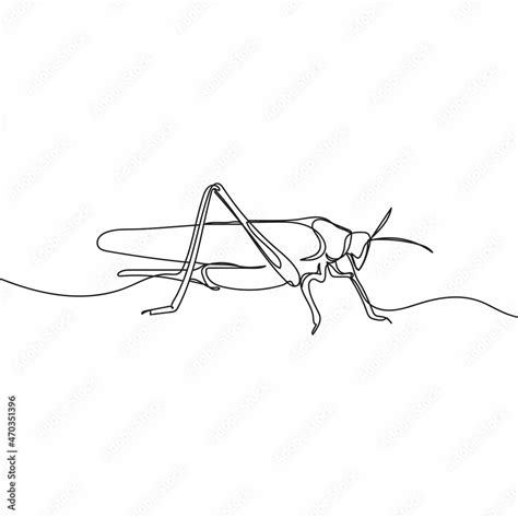 vector continuous one single line drawing icon of grasshopper in