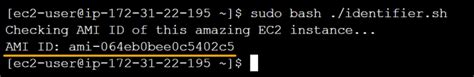 Getting Started With EC2 Metadata And User Data
