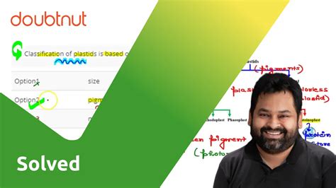 Classification Of Plastids Is Based On Their