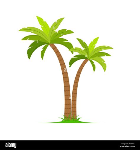 Cartoon Palm Trees With Coconuts