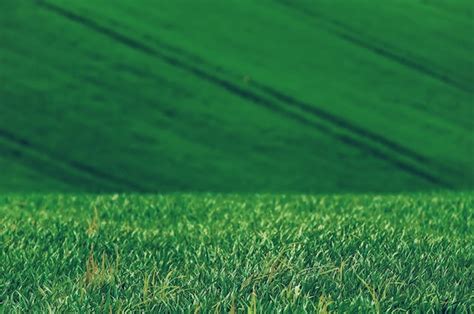 Premium Photo Green Grass Field Background