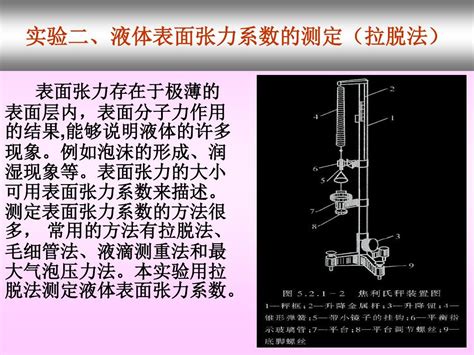 实验二液体表面张力系数的测定 拉脱法 word文档在线阅读与下载 无忧文档