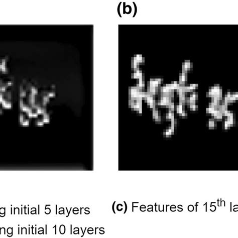 Features After Different Freezing Layers Download Scientific Diagram
