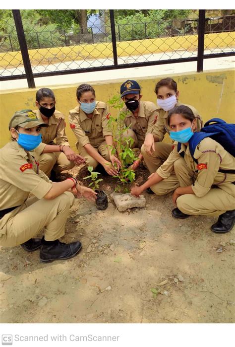 Tree Plantation Drive India NCC
