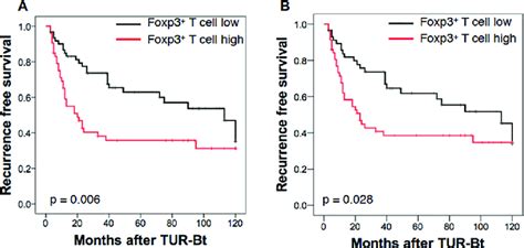 Recurrence Free Survival Rfs Rates After Turbt For Nmibc In Patients