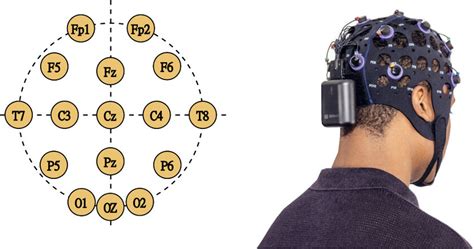 A Channel Montage Left And Versatile EEG Recording System By Download Scientific Diagram