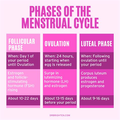 Menstrual Cycle Diagram Hormones With Birth Control Cycle Me
