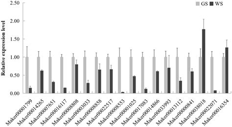 Qrt Pcr Validation Of Selected Degs Associated With Fruit Skin