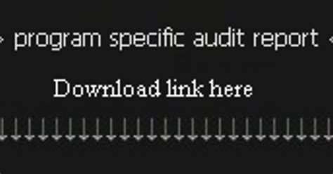 Program Specific Audit Report Imgur