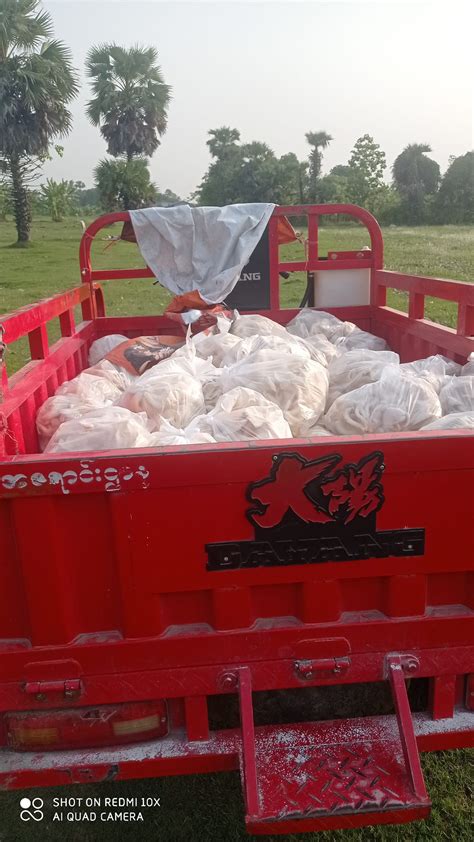 အမွှာမောင်နှမ အမွှာမောင်နှမ ငွေနှင်းမှို ရောင်းဝယ်ရေး