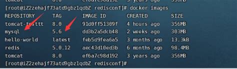 Docker如何启动mysql服务 开发技术 亿速云