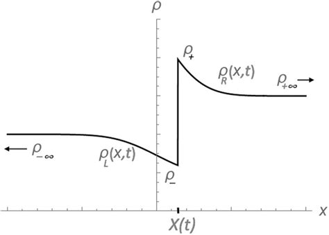 The Evolving Density Field Around The Tracer Particle Represented Download Scientific Diagram