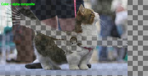 Java Draw Grayscale Image To Another BufferedImage S Alpha Band Using API Only Stack Overflow