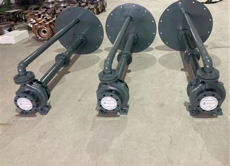 Vertical Extended Shaft Pump Vertical Long Shaft Pump Manufacturer