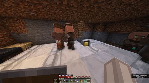 minecraft server bug r minecraft