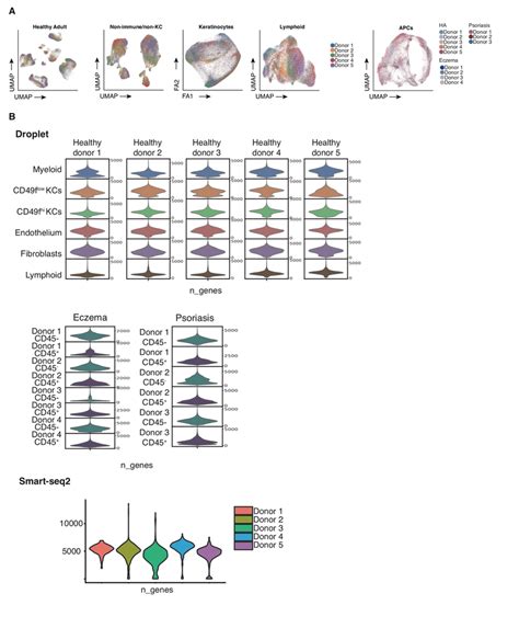 Fig S Single Cell RNA Seq Quality Control Download Scientific Diagram