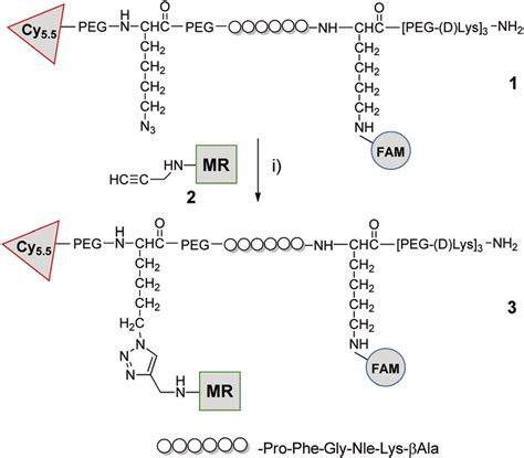 Scheme 1 Probe Synthesis Compound 1 Was Prepared By Spps On Chemmatrix Download Scientific