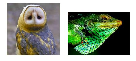 Guide To Edge Detection Algorithms Analytics Vidhya