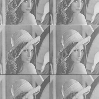 PDF Tree Triangular Coding Image Compression Algorithms