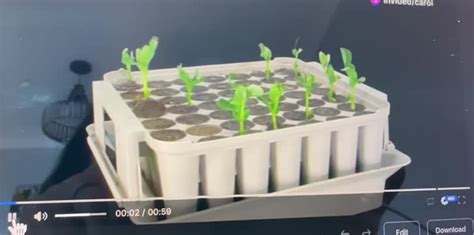 Bm Management Johannesburg Pty Ltd On Linkedin Pythium Hydroponics