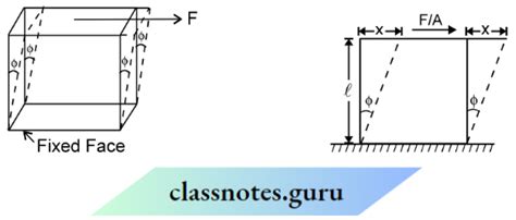 NEET Physics Class Chapter Elasticity And Viscosity Notes Class Notes