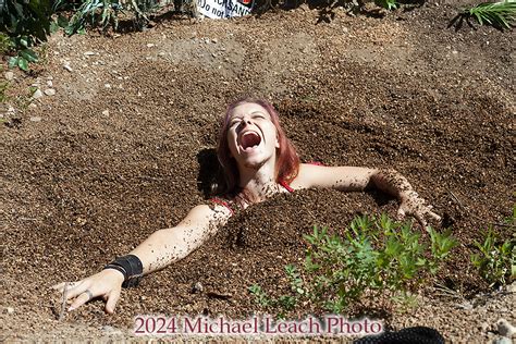 Mlp Stormy Quicksand Aug19 2674 By Michaelleachphoto On Deviantart