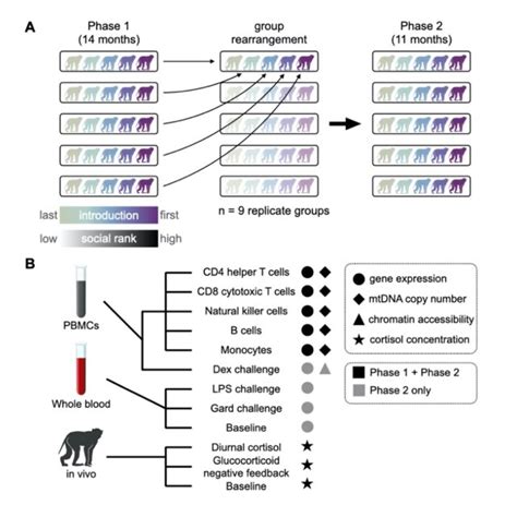 Study Design And Data Sets A Schematic Illustration Of Experimental Download Scientific
