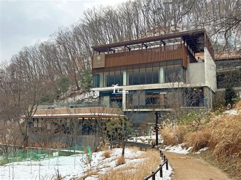 강원홍천 힐리언스 선마을 폰 없이 즐기는 힐링 숲캉스 네이버 블로그