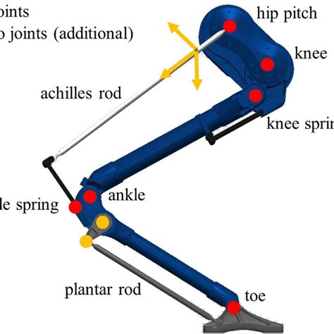 The Configuration States For A Leg Of The Cassie Robot The Additional Download Scientific