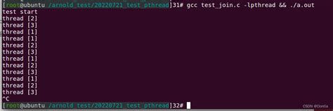 Linux C语言printf函数不加换行符就不能输出打印的内容（fflushstdout 刷新缓冲区）linux C Printf Csdn博客