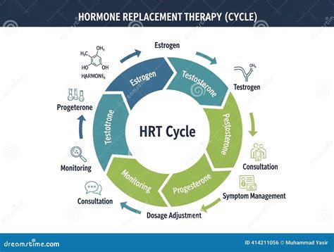 Hrt Or Hormone Replacement Therapy Acronym Vector Illustration With