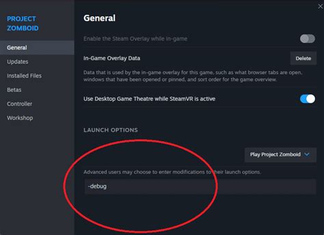 Easy Guide To Turn On Debug Mode Hope This Helps R Projectzomboid