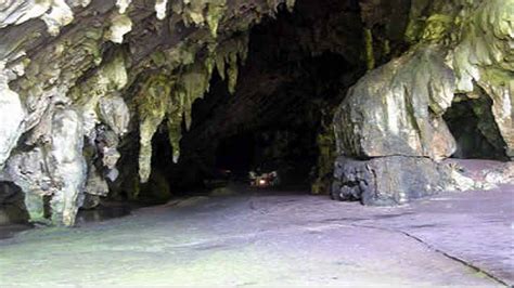 La Cueva Del GuÁcharowmv Paraiso Natural Parques Nacionales Parques