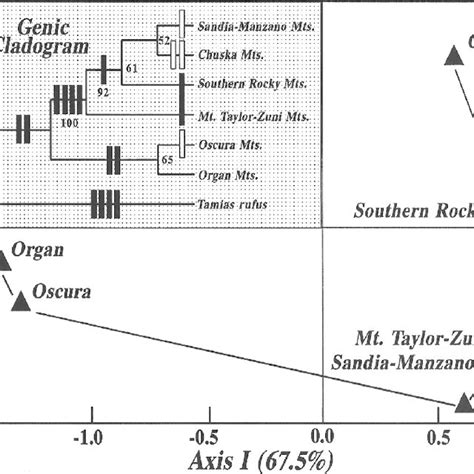 Minimum Spanning Tree Of Genetic Relationships Among Populations Based Download Scientific