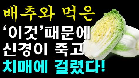 배추와 절대로 함께 먹지마세요 암과 치매에 걸릴 수 있습니다 배추와 먹으면 최악의 궁합 3가지와 건강지키는 최고의 음식 3가지까지 배추효능 건강 정보 Youtube