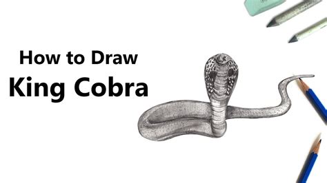 How To Draw A King Cobra With Pencils Time Lapse YouTube