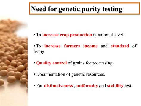 Genetic Purity Test Through Morphological And Biochemical Testspptx