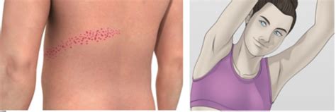 Week 3 Flashcards Quizlet Week 3 Flashcards Quizlet