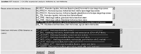 The Interface For In Silico Gene Expression Analysis The Function